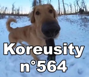 Vidéos Buzz, Jeux Flash et Images sur Koreus.com