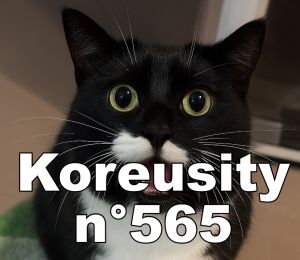 Vidéos Buzz, Jeux Flash et Images sur Koreus.com